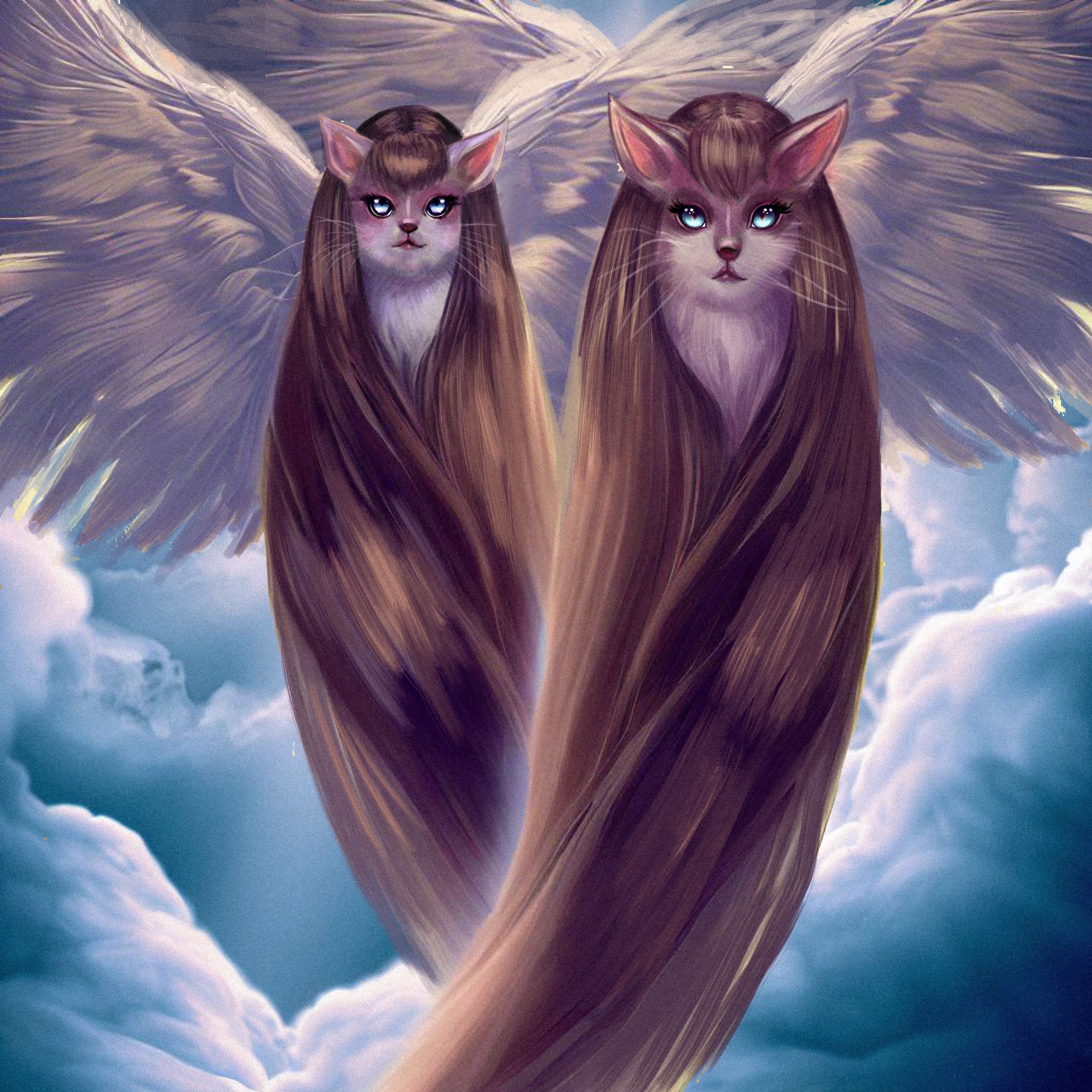 Cats With Wings Drawings